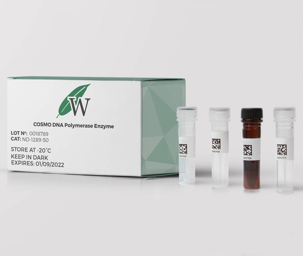 COSMO DNA Polymerase Enzyme – Willowfort